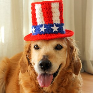4th of July Dog Hat, Independence Day Hat for Dogs, Uncle Sam Hat for ...