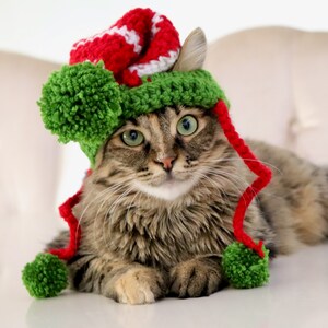 Elf Hat for Cats, Cat Elf Hat, Holiday Cat Hat, Christmas Hat for Cats ...