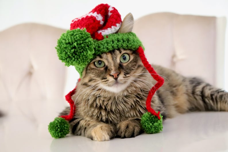 Elf Hat for Cats Cat Elf Hat Holiday Cat Hat Christmas Hat - Etsy