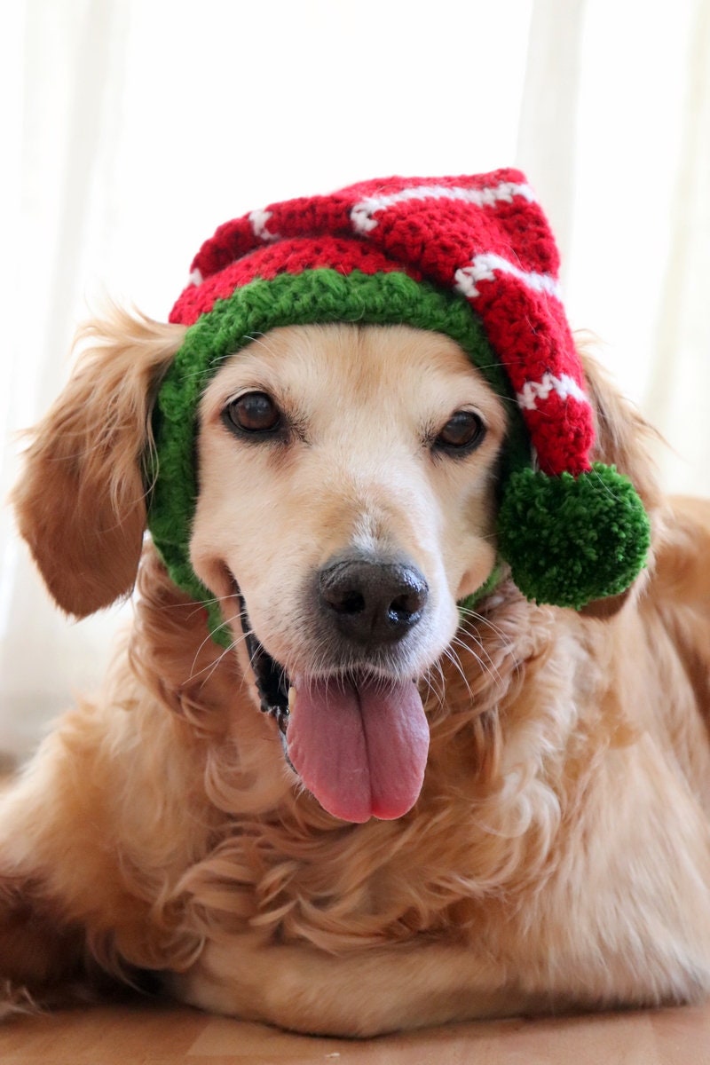 Elf Hat for Dogs Dog Elf Hat Holiday Dog Hat Christmas Hat | Etsy