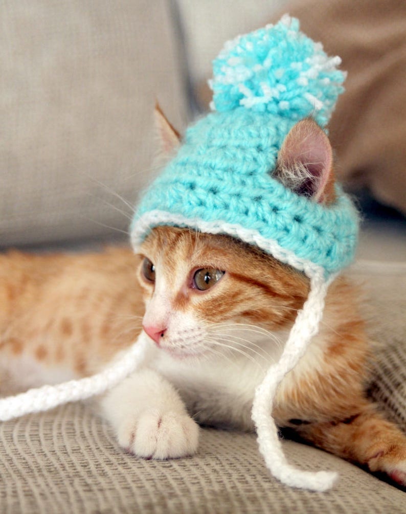 Cat Hat Beanie for Cats & Kittens Pom Pom Hat for Male Cats - Etsy