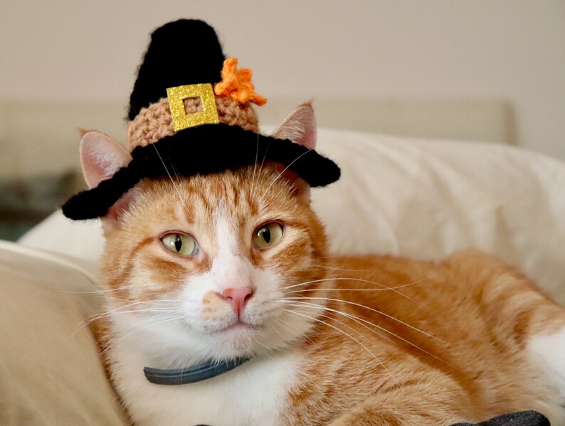 Thanksgiving Pilgrim Hat for Cats, Colonial Pilgrim Cat Hat With Leaf ...