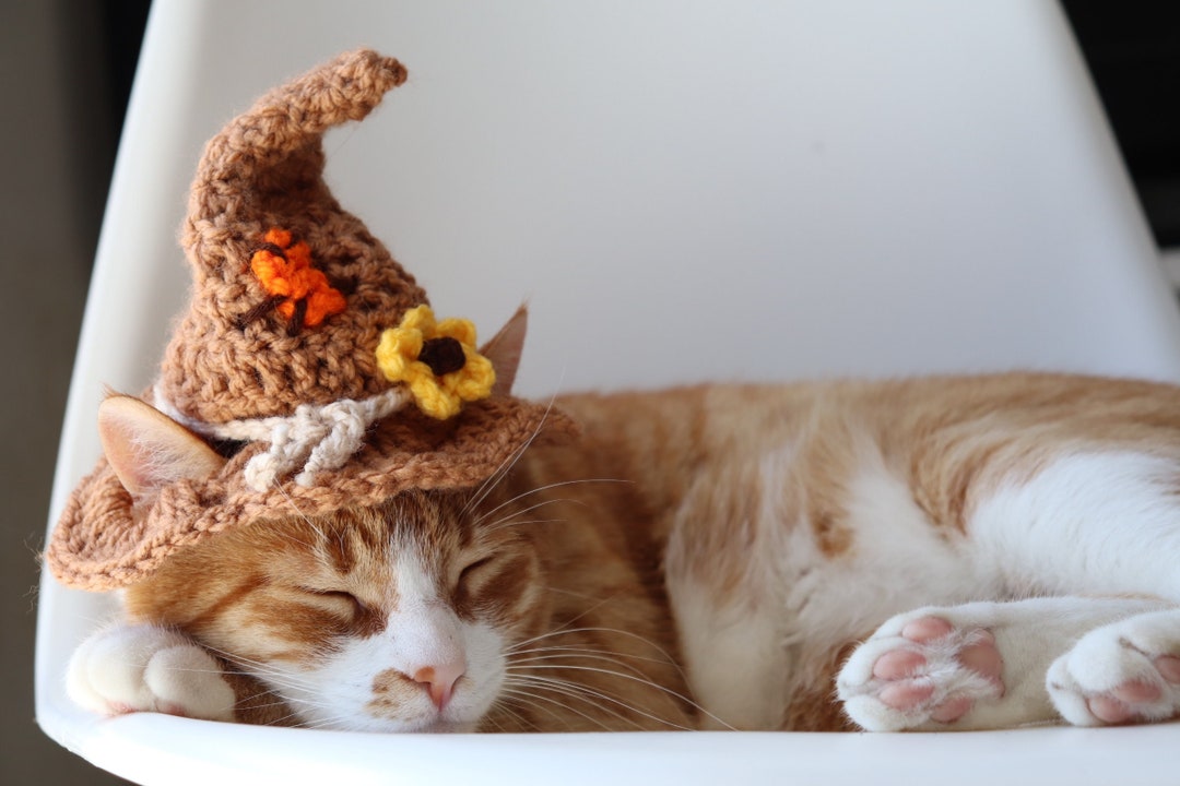 Scarecrow Cat Hat, Fall / Autumn Hat for Cats, Halloween Cat Costume ...