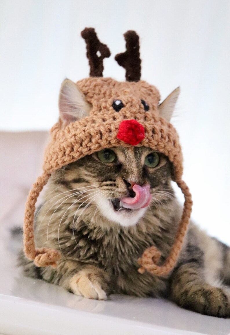 Crochet Pattern: Rudolph Reindeer Hat for Cats, Christmas Crochet ...