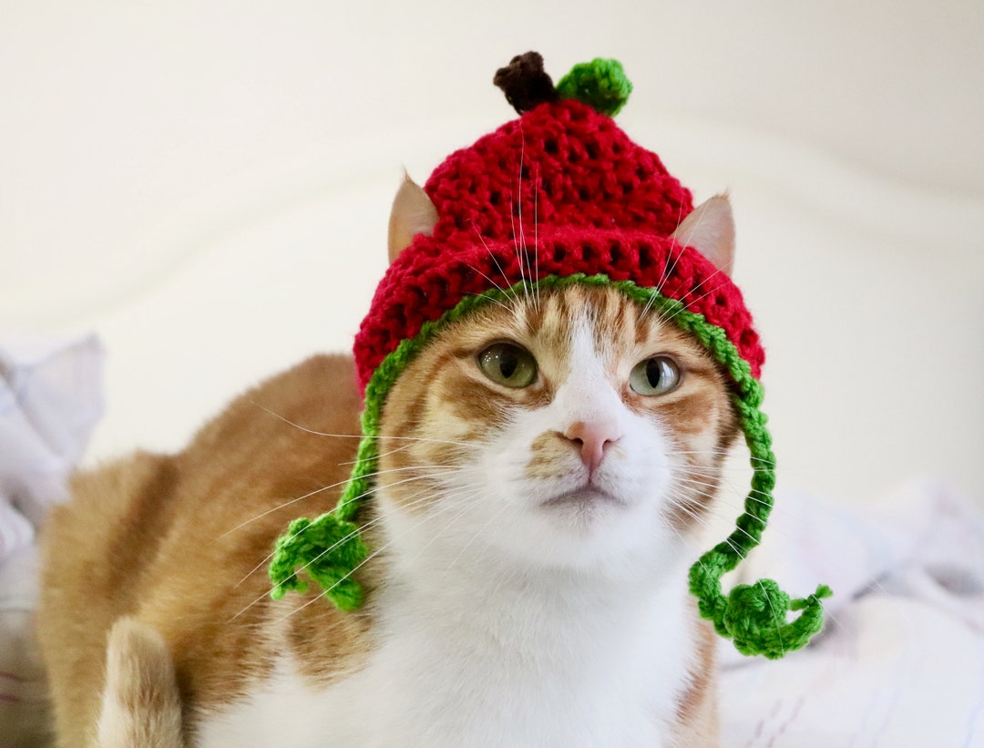 Apple Hat for Cats, Crochet Apple Hat for Cats, Kittens, and Small Dog ...