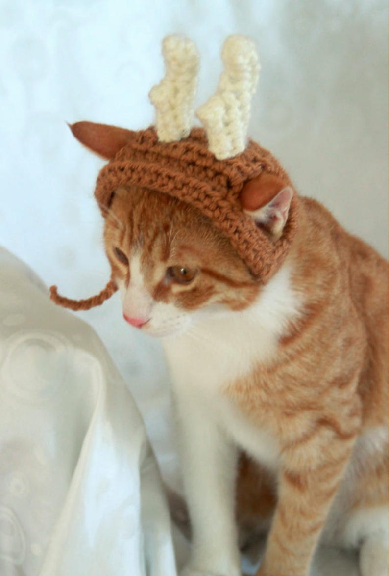 Reindeer Cat Hat Cat Reindeer Antlers Reindeer Horns for | Etsy