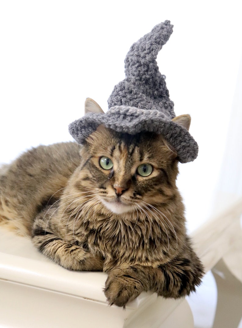 Wizard Cat Hat Brown or Gray Wizard Hat for Cats With Ear - Etsy