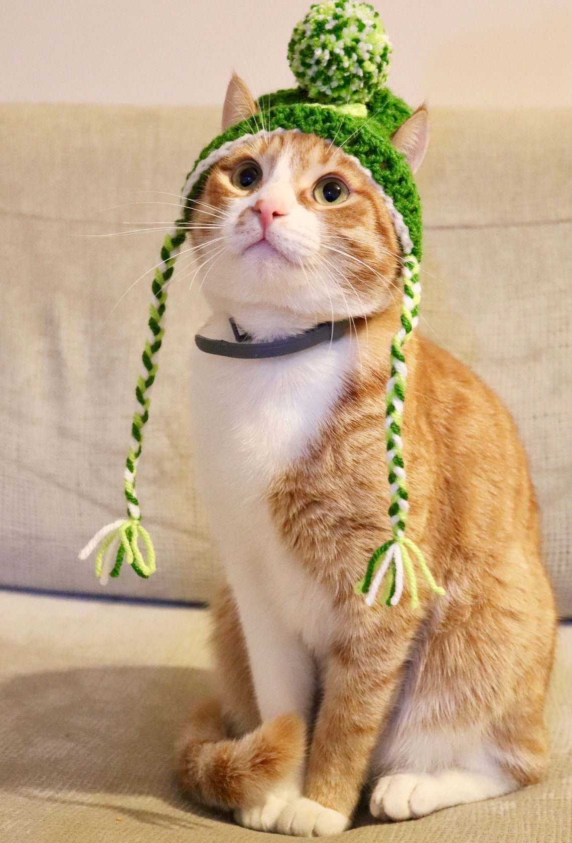 St. Patrick's Day Beanie Hat for Cats Green Saint Pattys - Etsy