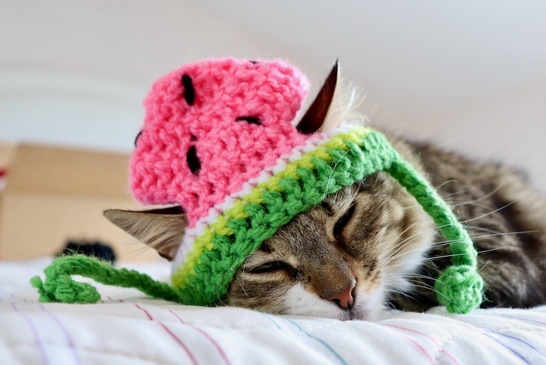 Watermelon Hat for Cats, Crochet Watermelon Hat for Cats and Small Dog ...