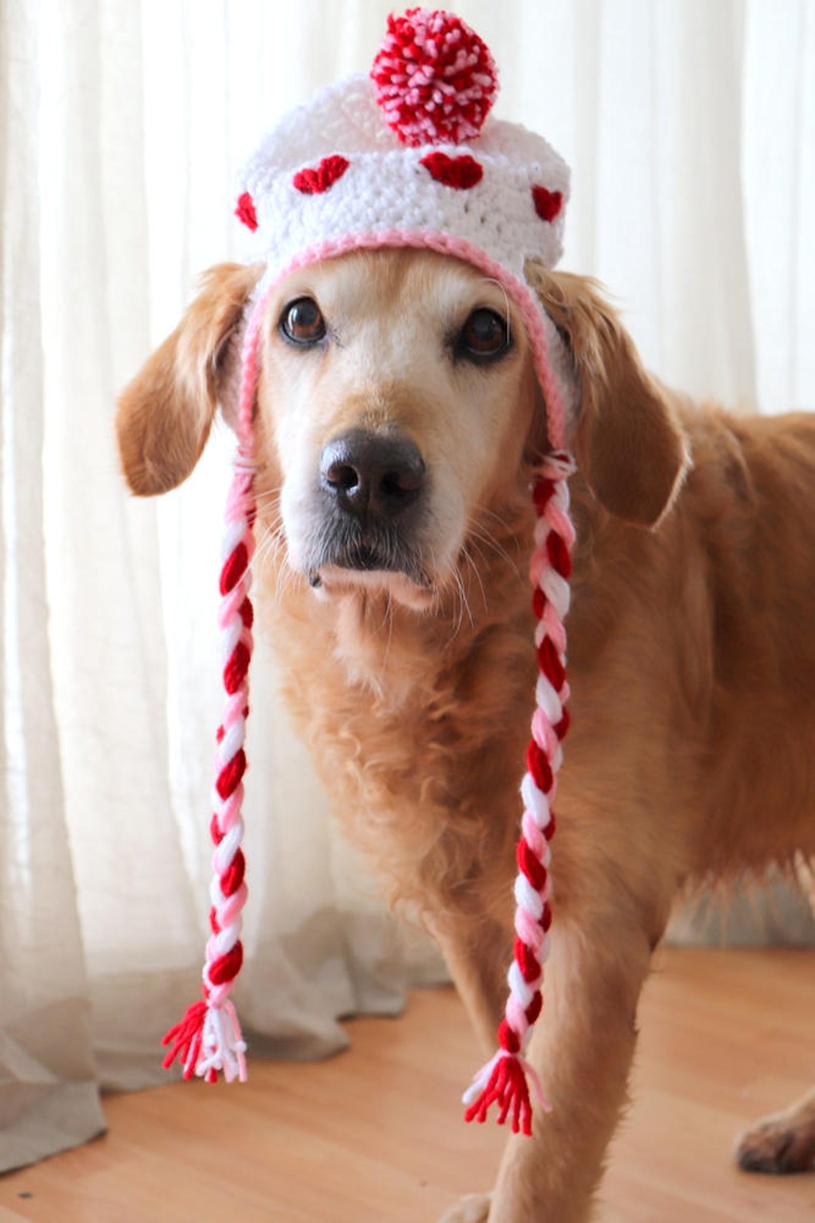 Valentines Day Dog Hat Valentines Day Dog Photo Prom Dog Hat - Etsy