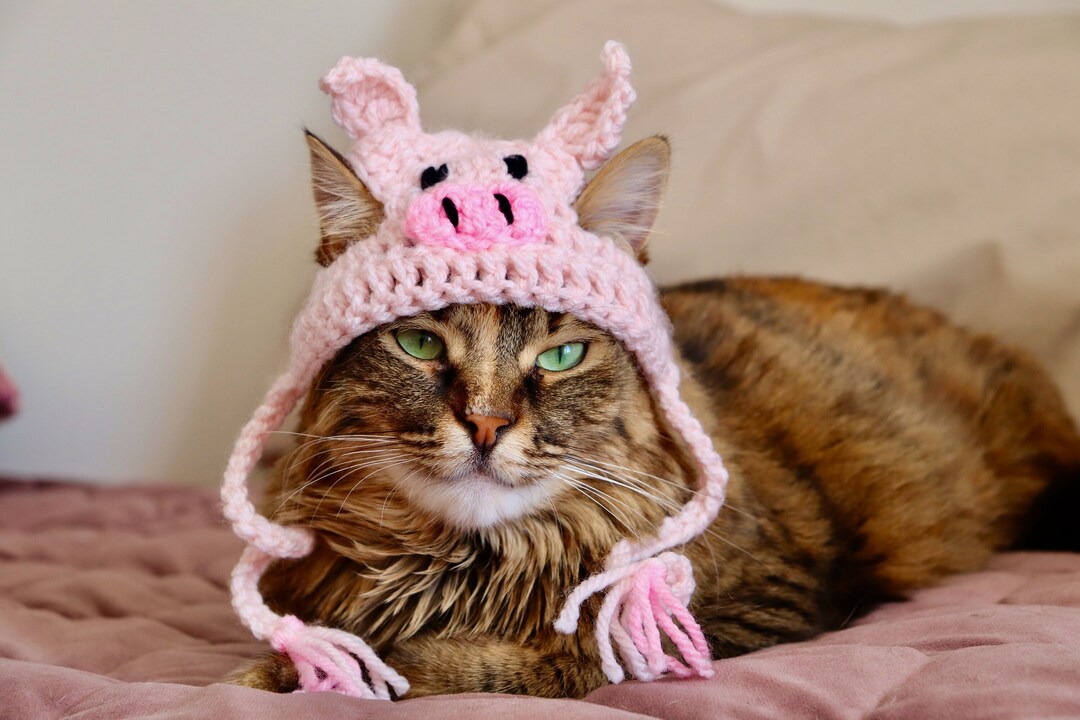Pig Hat for Cats, Funny Feline Pig Accessory / Costume, Pink Pig Hat ...