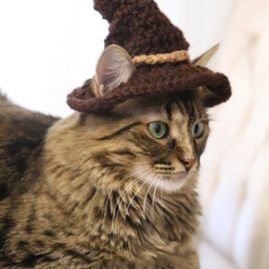 Wizard Cat Hat, Brown or Gray Wizard Hat for Cats With Ear Holes ...
