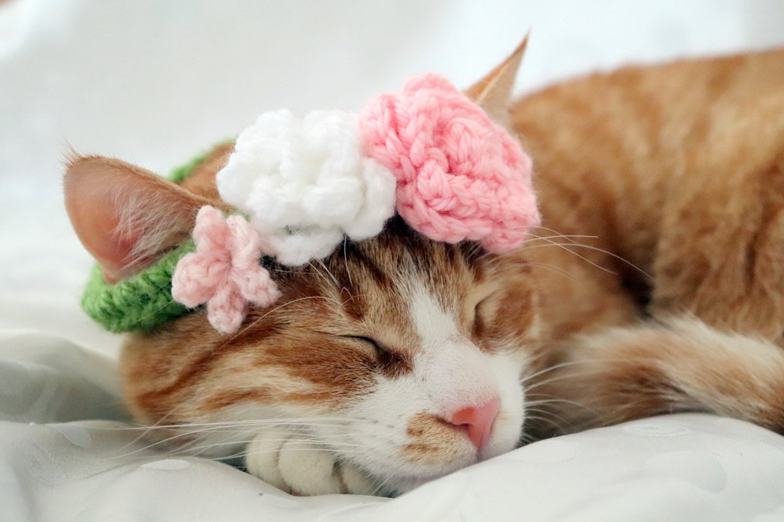 Cat Flower Crown PDF Crochet Pattern, 2-in-1 Flower Collar or Crown for ...