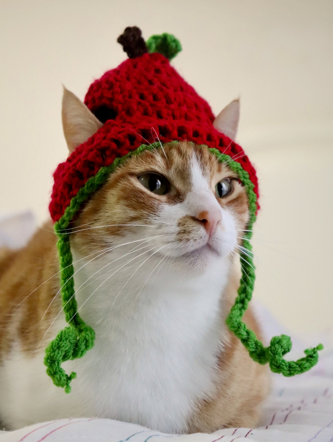 Apple Hat for Cats Crochet Apple Hat for Cats and Toy Dog - Etsy