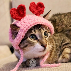 Heart Headband for Cats, Valentine's Day Cat Accessories, Cat Photo ...