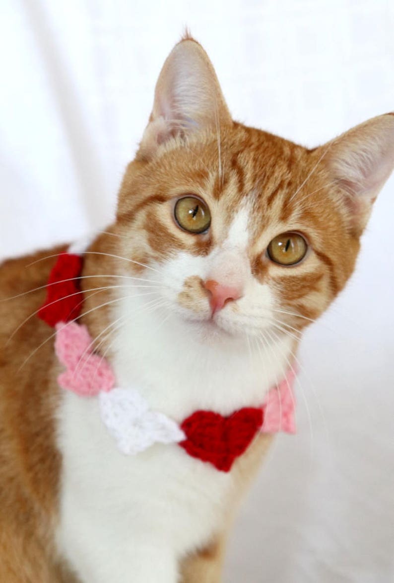 Valentine's Day Cat Accessory, Heart Collar / Necklace for Cats ...