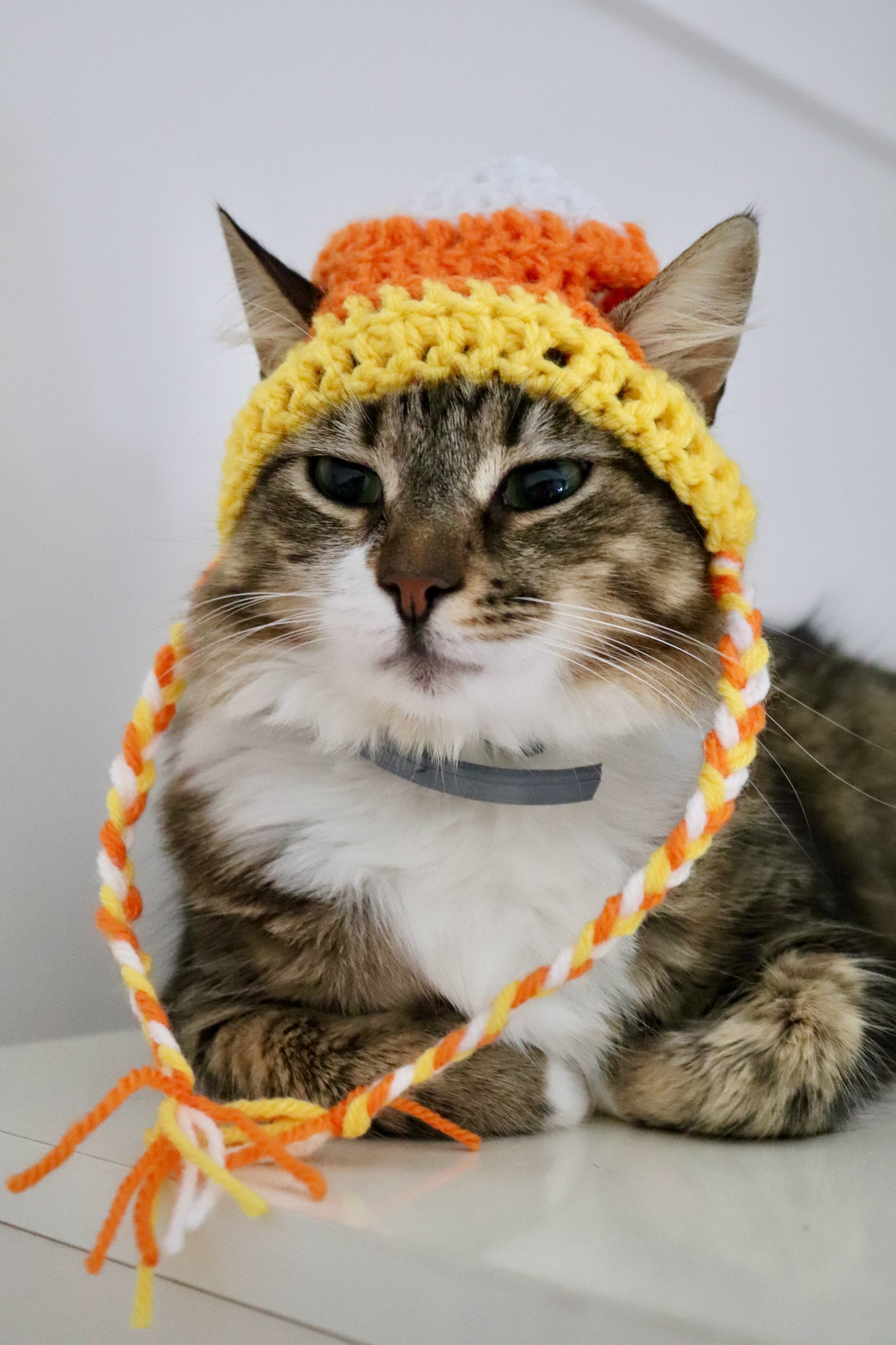 Candy Corn Cat Hat Halloween Hat for Cats Kittens and Small | Etsy