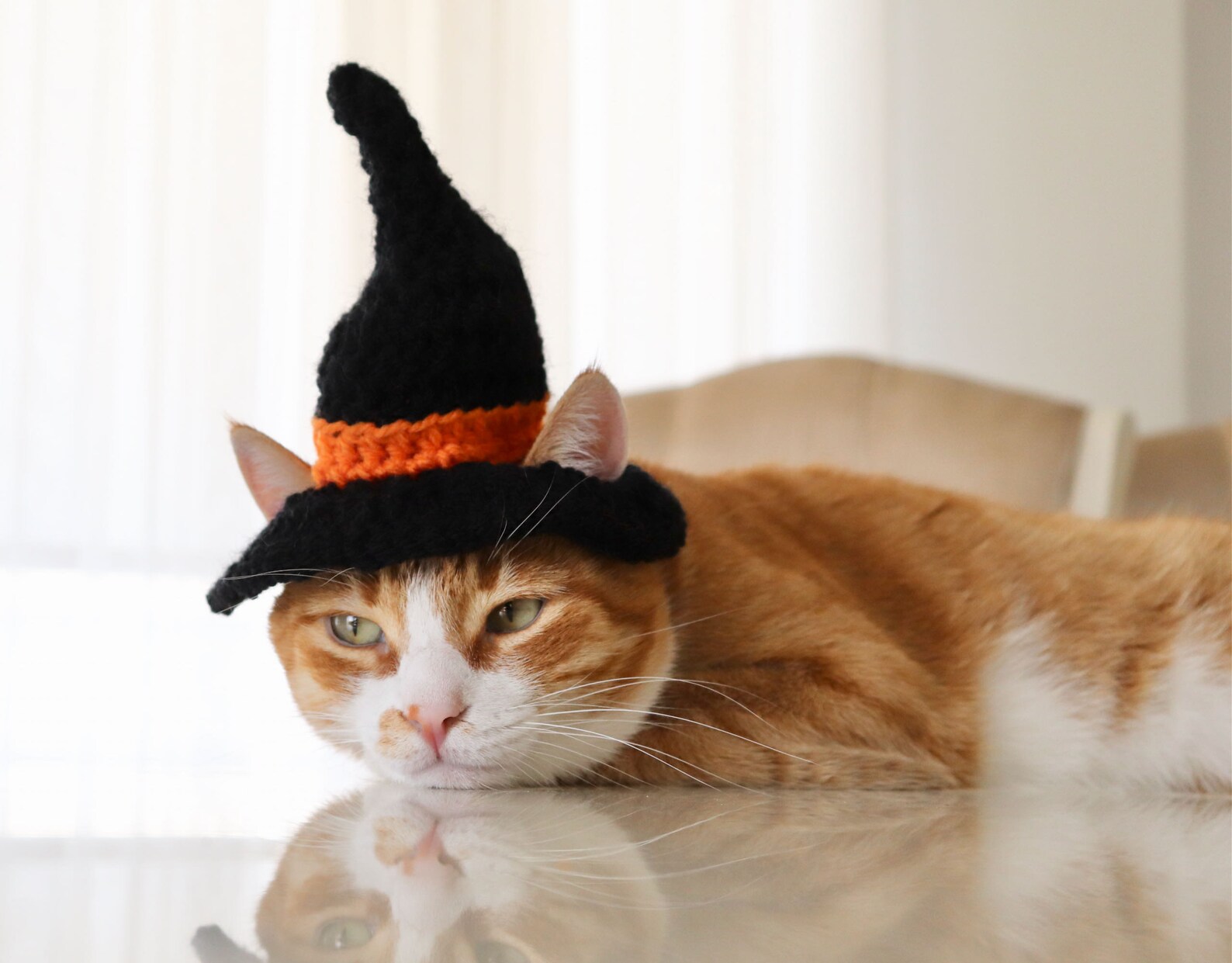Witch Cat Hat Witch Hat for Cats Halloween Cat Costume - Etsy