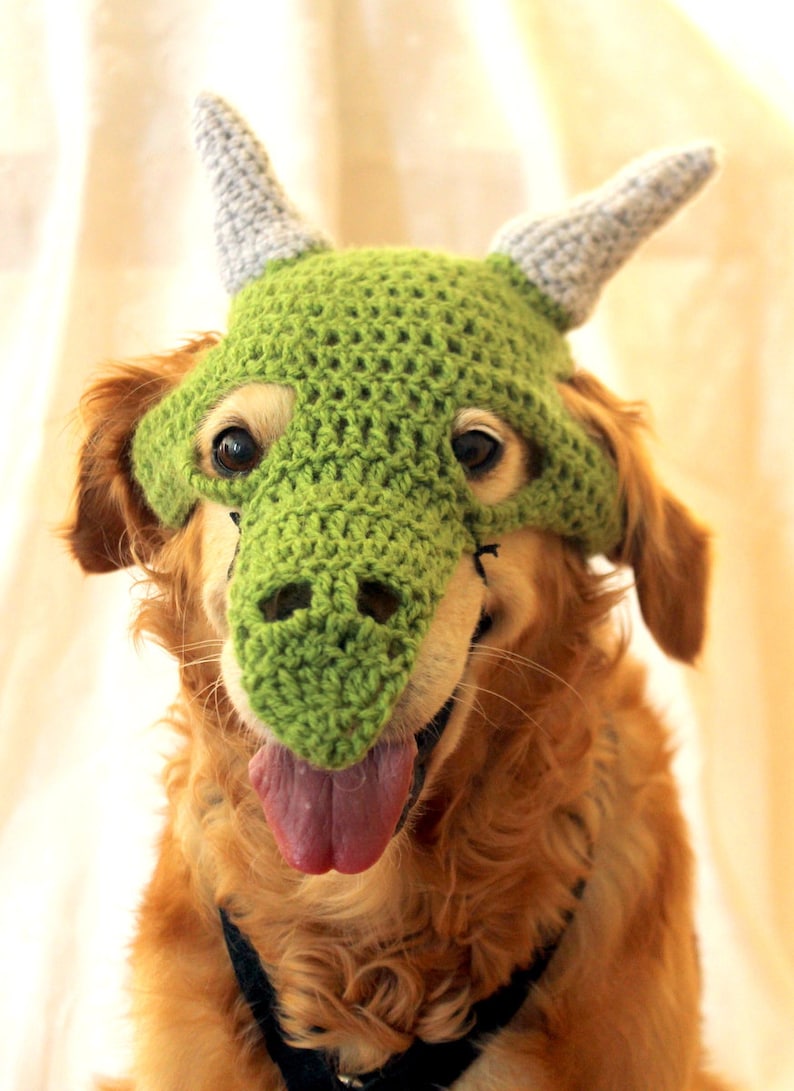 Dragon Costume for Dogs Dinosaur Dog Mask Dog Dragon | Etsy