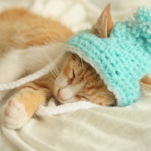 Cat Hat, Beanie for Cats & Kittens, Pom Pom Hat for Male Cats, Bright ...
