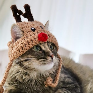 Rudolph Cat Hat, Reindeer Hat for Cats, Cat Reindeer Antlers, Christmas ...