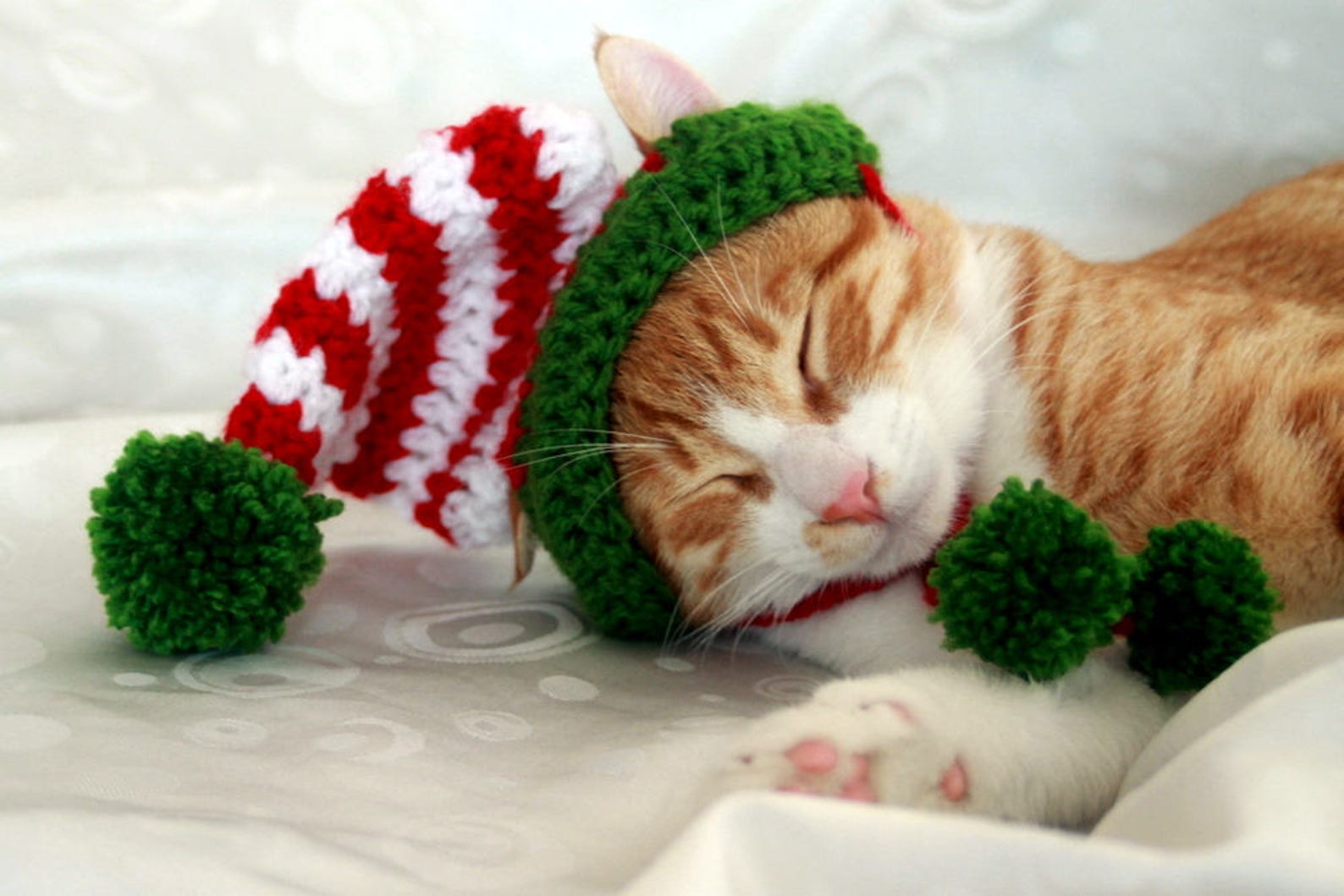 Crochet Pattern: Elf Hat for Cats Cat Elf Hat Pattern - Etsy Canada