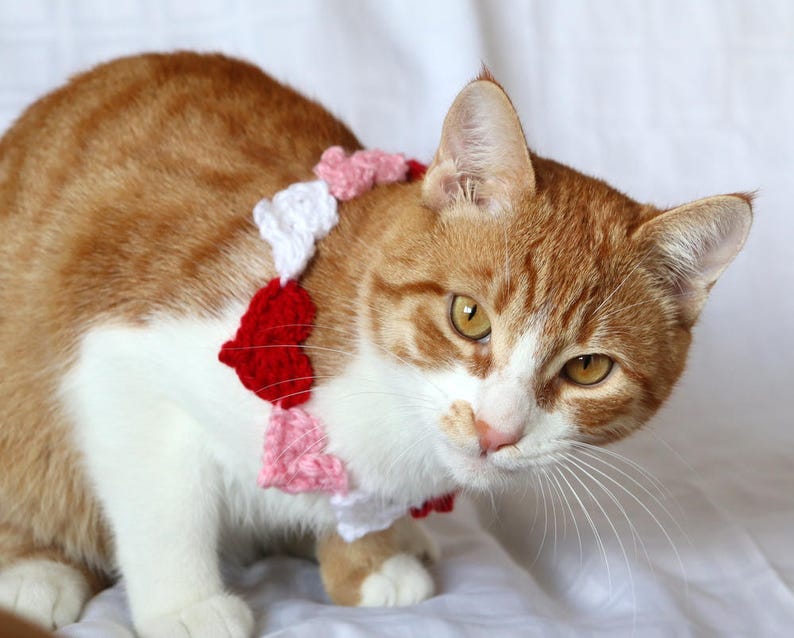 Valentine's Day Cat Accessory, Heart Collar / Necklace for Cats ...