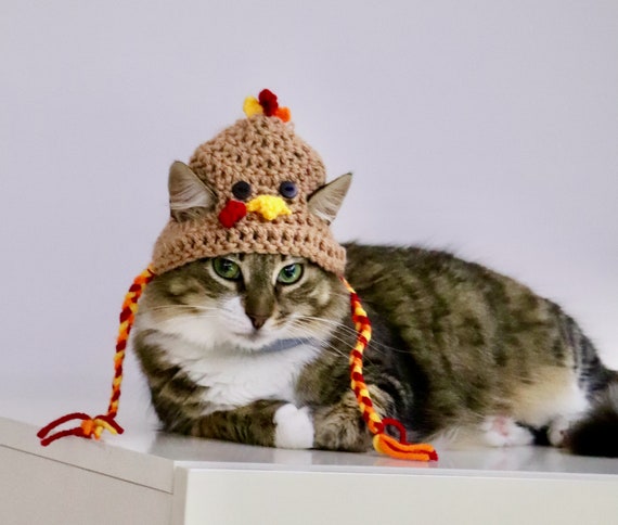 Turkey Dressed Up Like Cat