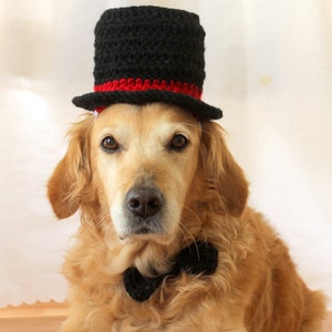 Top Hat for Dogs With Optional Bow Tie Add On, Custom Colors Available ...