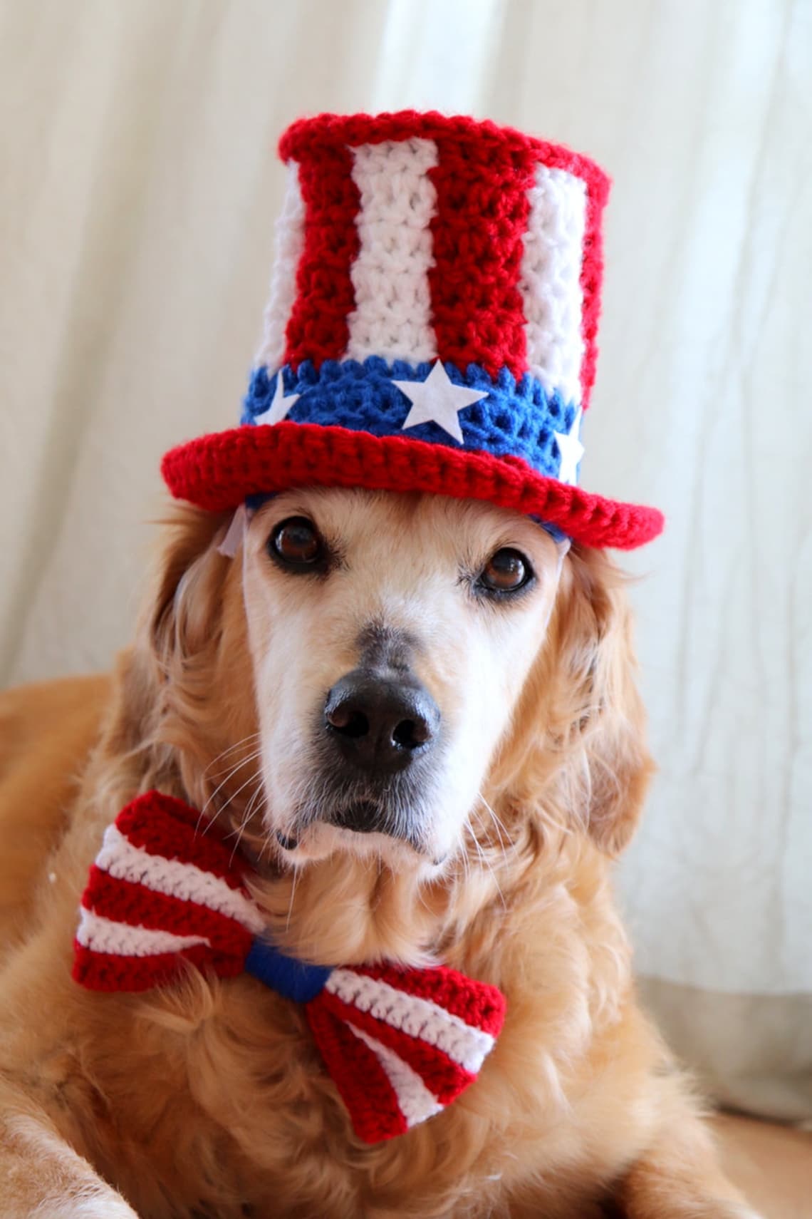 4th of July Dog Hat, Independence Day Hat for Dogs, Uncle Sam Hat for ...