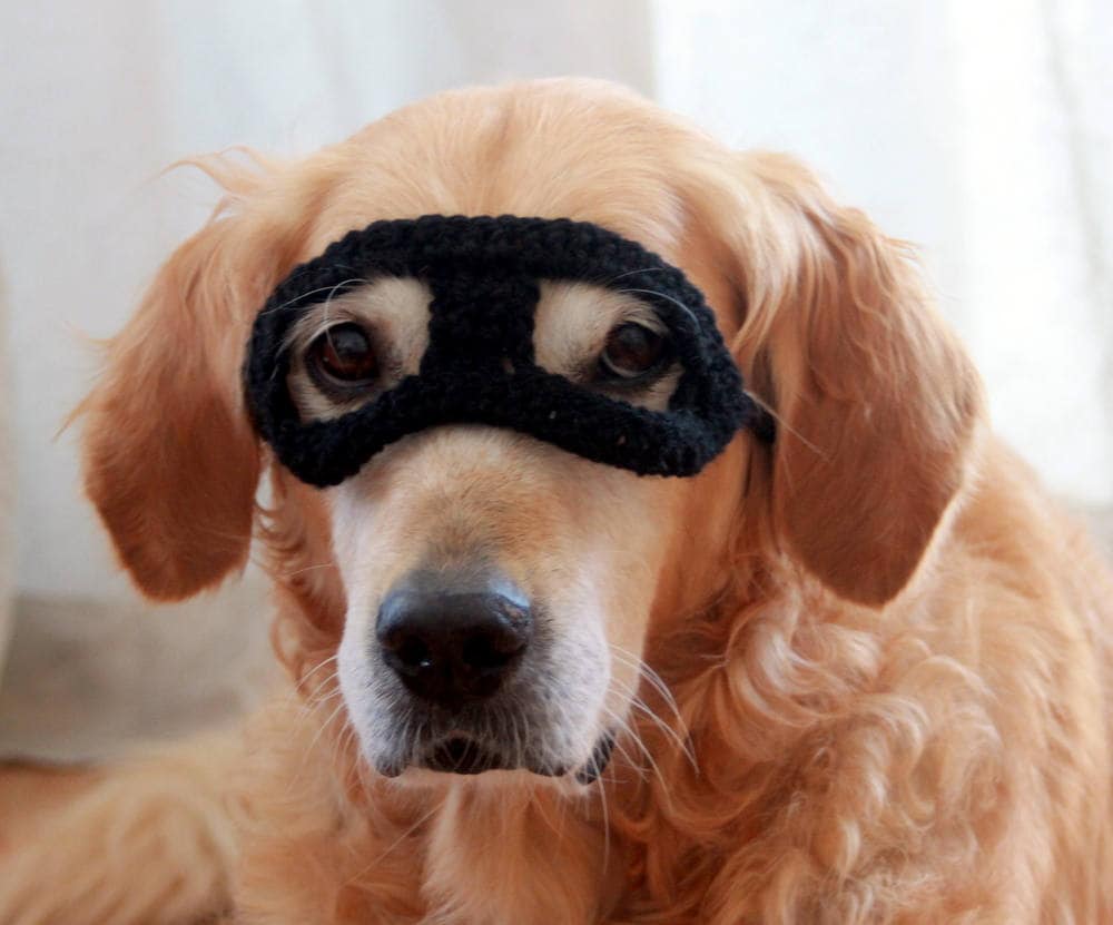 Super Hero Dog Costume, Super Hero Mask for Dogs, Super Hero Dog ...