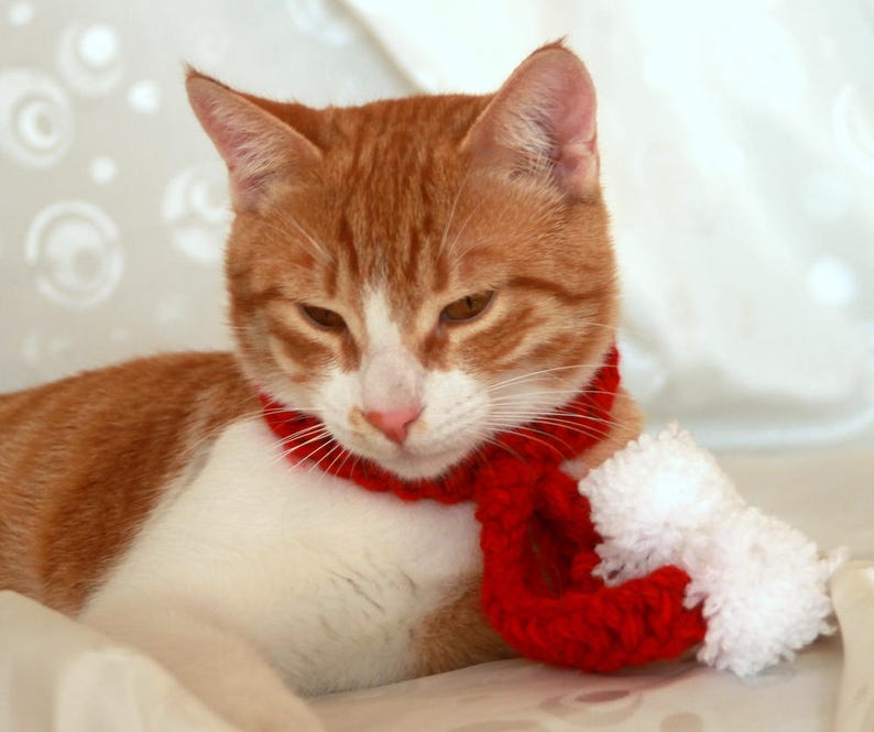Bufanda de gato bufanda de Navidad para gatos bufanda pom - Etsy España
