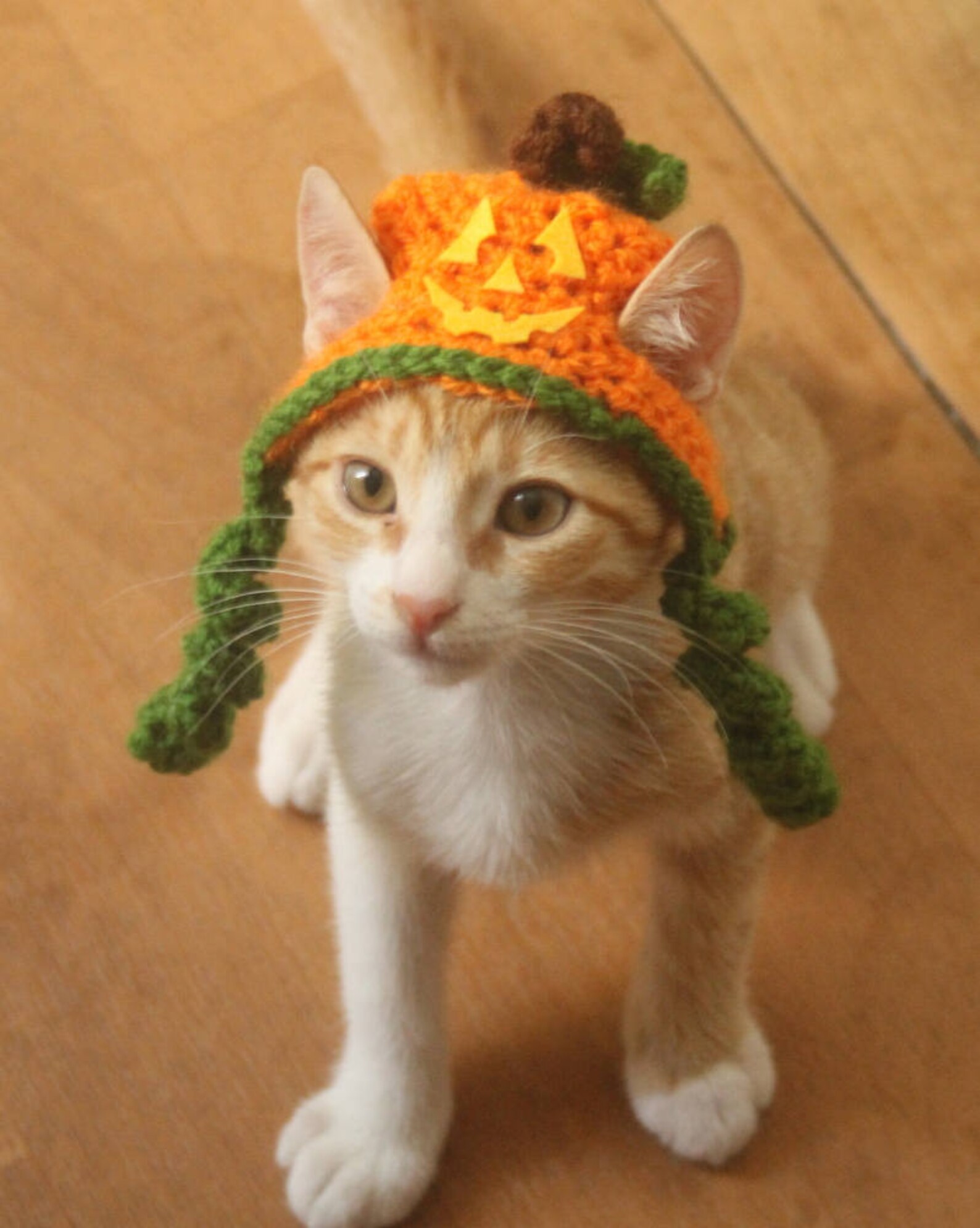 Jackolantern Cat Hat Pumpkin Cat Hat Halloween Cat Hat - Etsy