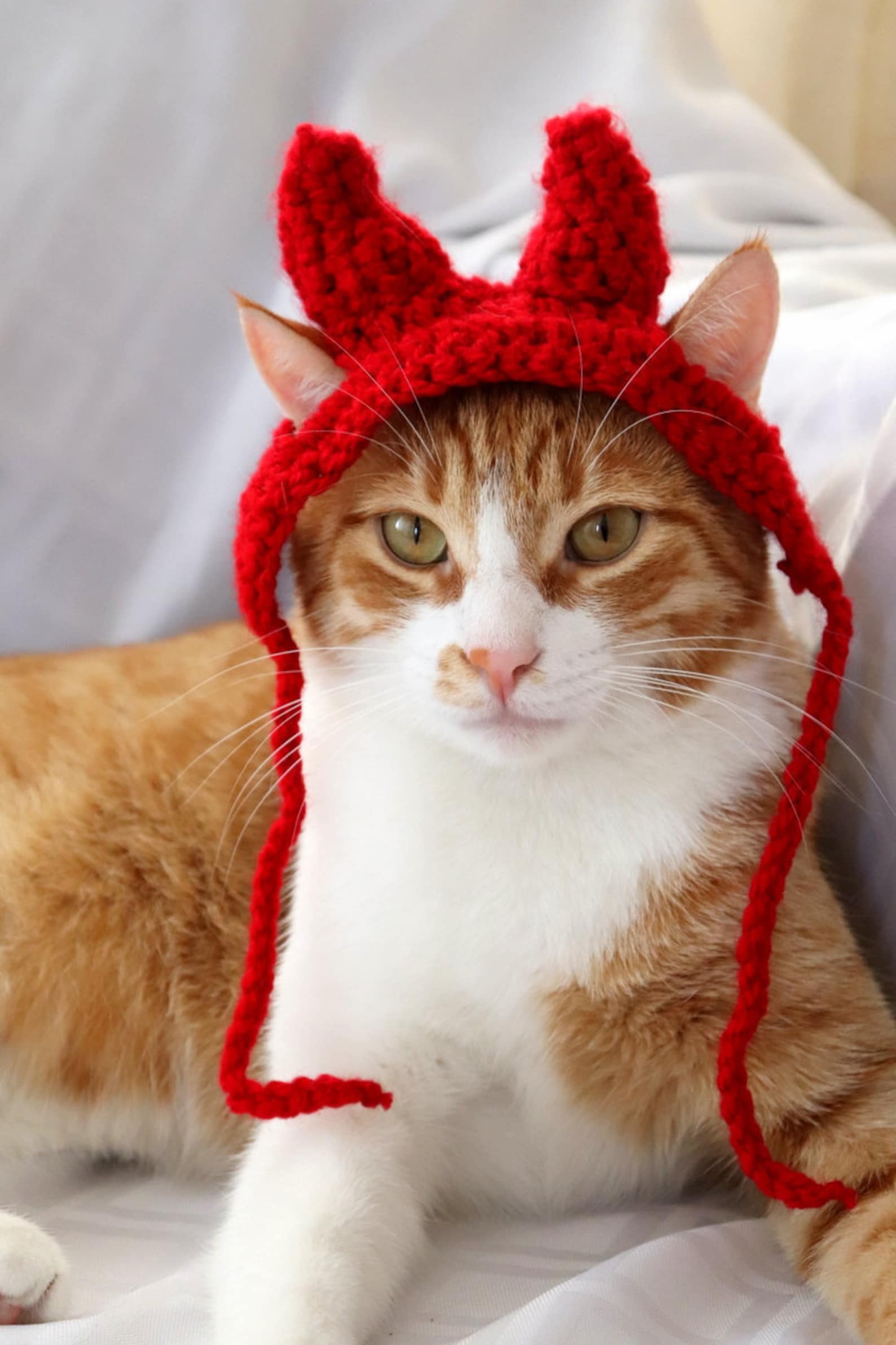 Devil Cat Hat Devil Pet Costume Devil Horns for Cats Devil - Etsy UK