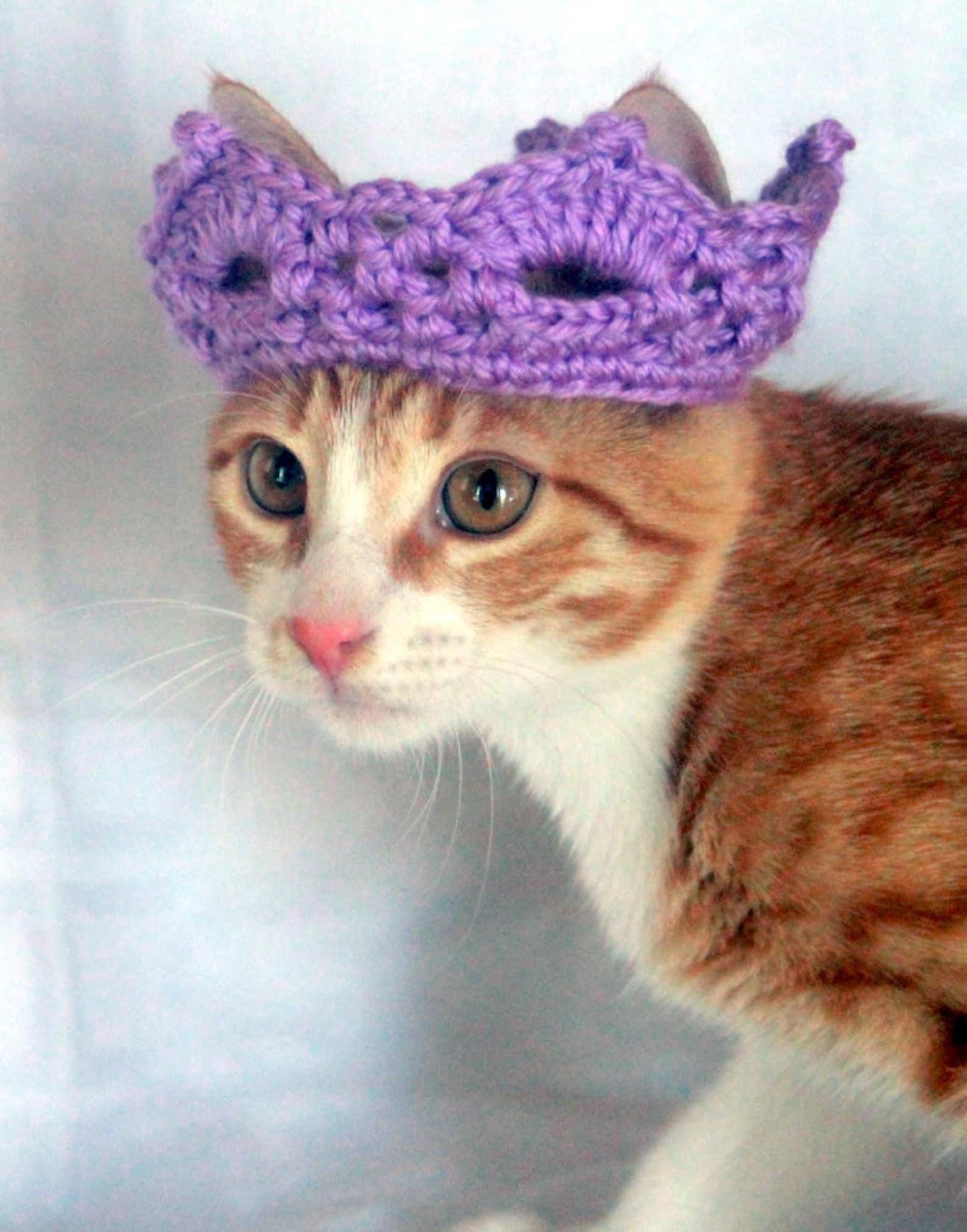 Cat Crown Tiara for Cats and Small Dogs Princess / King / | Etsy
