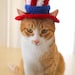 Uncle Sam Hat for Cats 4th of July Cat Accessory - Etsy