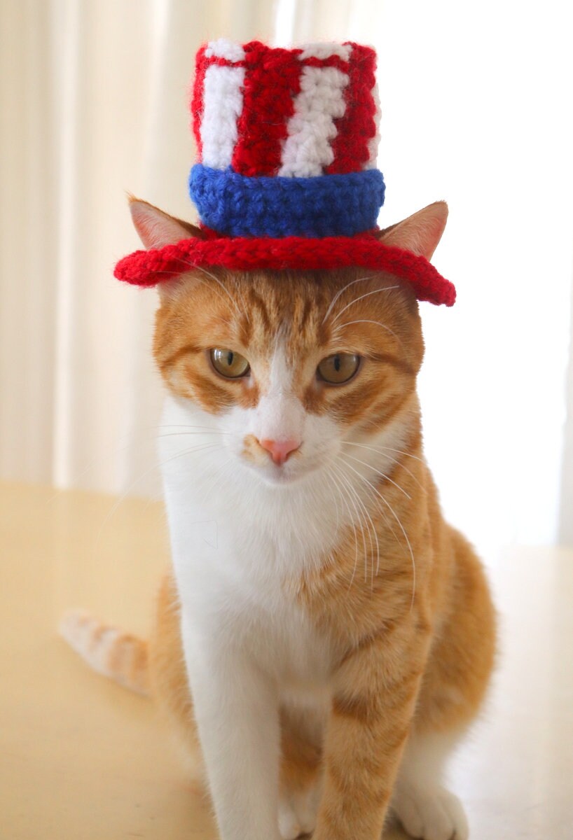 Uncle Sam Hat for Cats 4th of July Cat Accessory | Etsy
