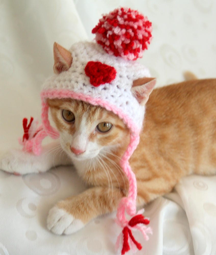 Valentines Day Hat for Cats Heart Cat Hat Valentines Day Cat - Etsy UK