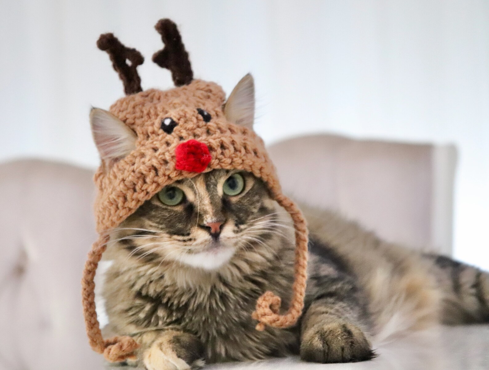 Crochet Pattern: Rudolph Reindeer Hat for Cats, Christmas Crochet ...