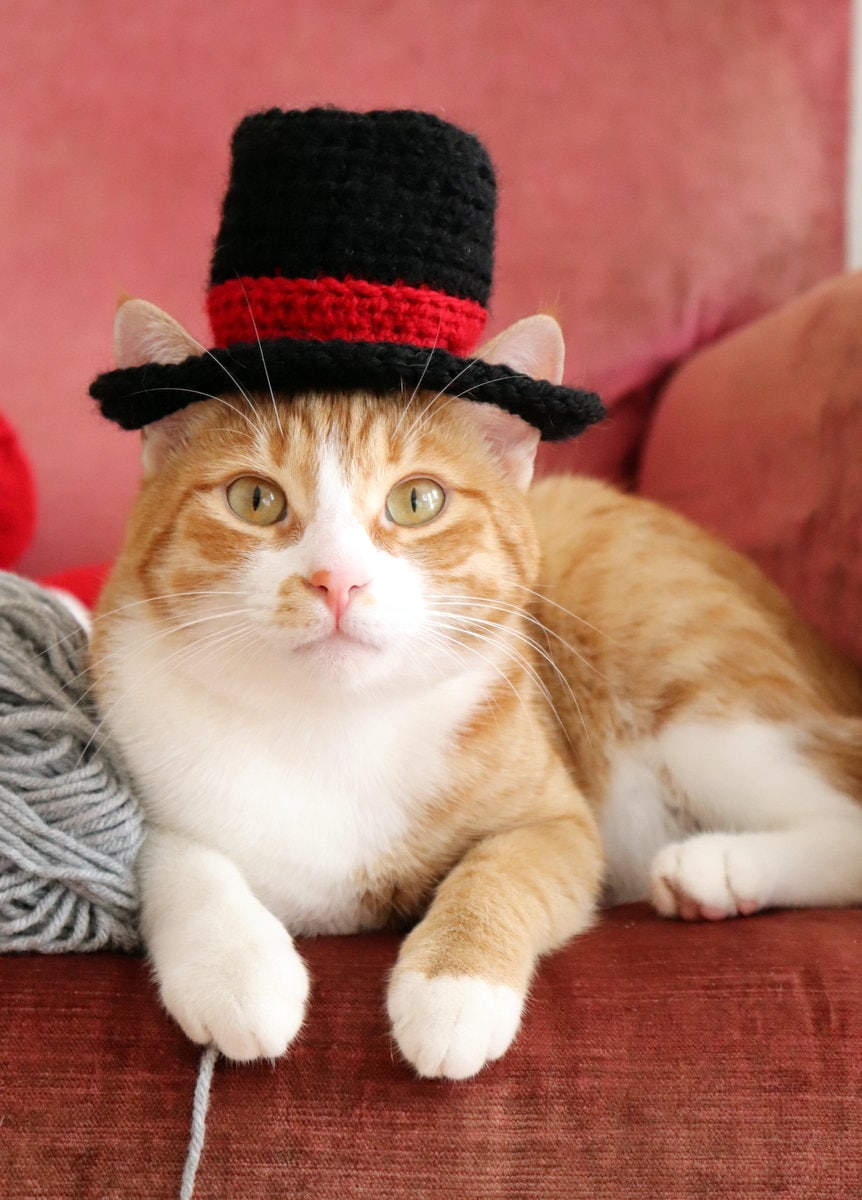 Top Hat for Cats Cat Wedding Apparel Cat Formal Wear Feline - Etsy Denmark