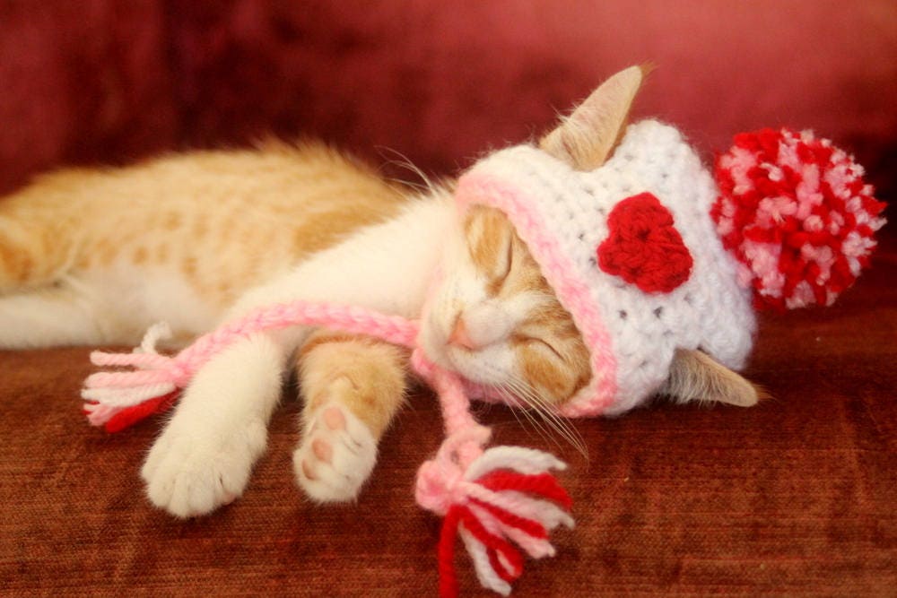 Valentines Day Hat for Cats Heart Cat Hat Valentines Day Cat - Etsy UK
