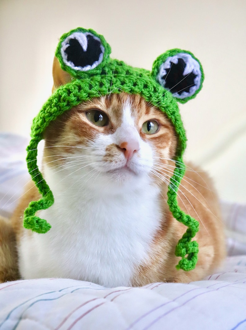 Frog Hat for Cats Funny Feline Frog Accessory / Costume Frog - Etsy