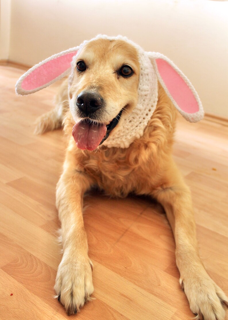 Easter Dog Outfit Bunny Ears for Dogs Rabbit Ears for Dogs - Etsy