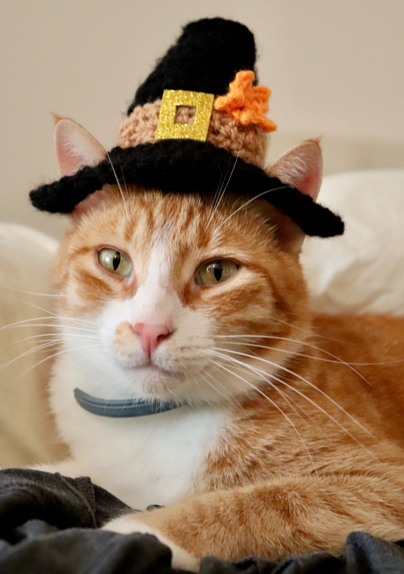 Thanksgiving Pilgrim Hat for Cats, Colonial Pilgrim Cat Hat With Leaf ...