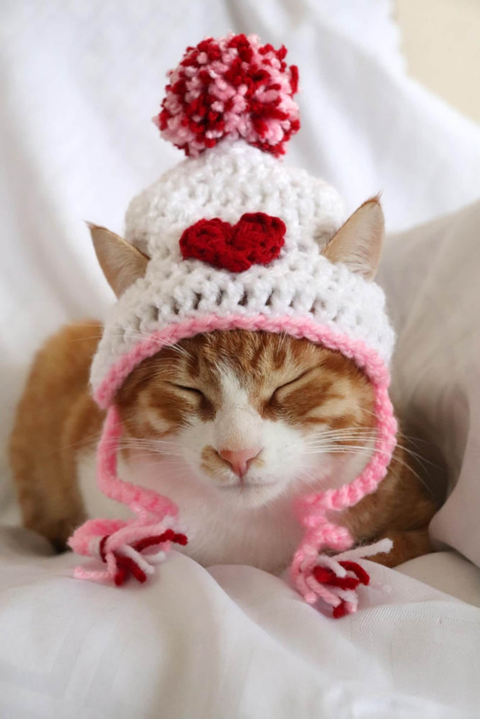 Valentines Day Hat for Cats Heart Cat Hat Valentines Day Cat - Etsy UK