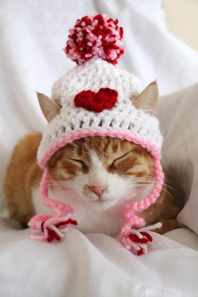 Valentines Day Hat for Cats Heart Cat Hat Valentines Day Cat - Etsy UK