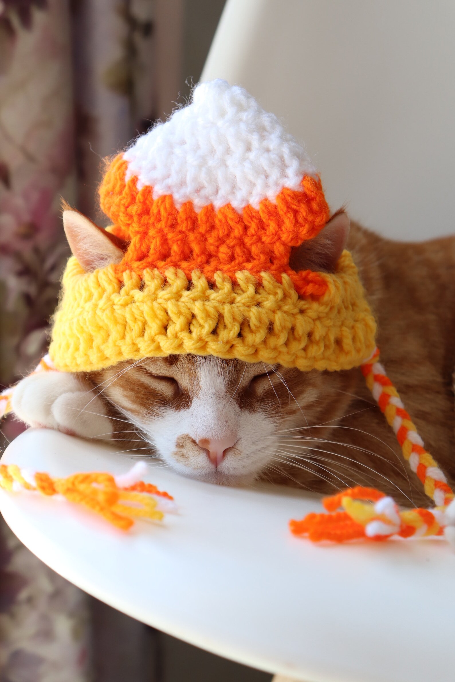 Candy Corn Cat Hat Halloween Hat for Cats Kittens and Small - Etsy