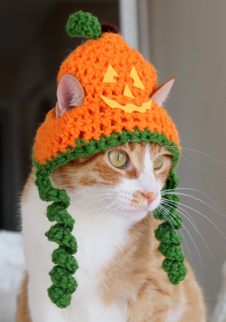 Jackolantern Cat Hat Pumpkin Cat Hat Halloween Cat Hat - Etsy
