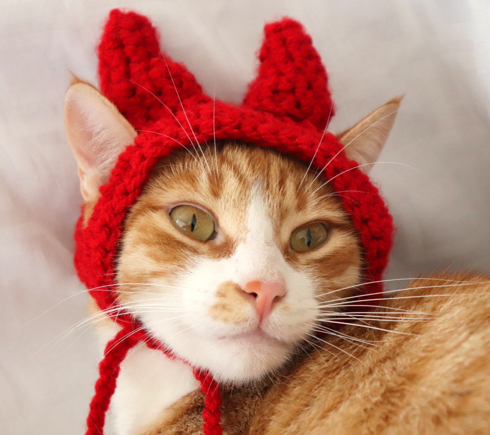 Crochet Pattern: Devil Horn Hat / Headband for Cats Crochet | Etsy