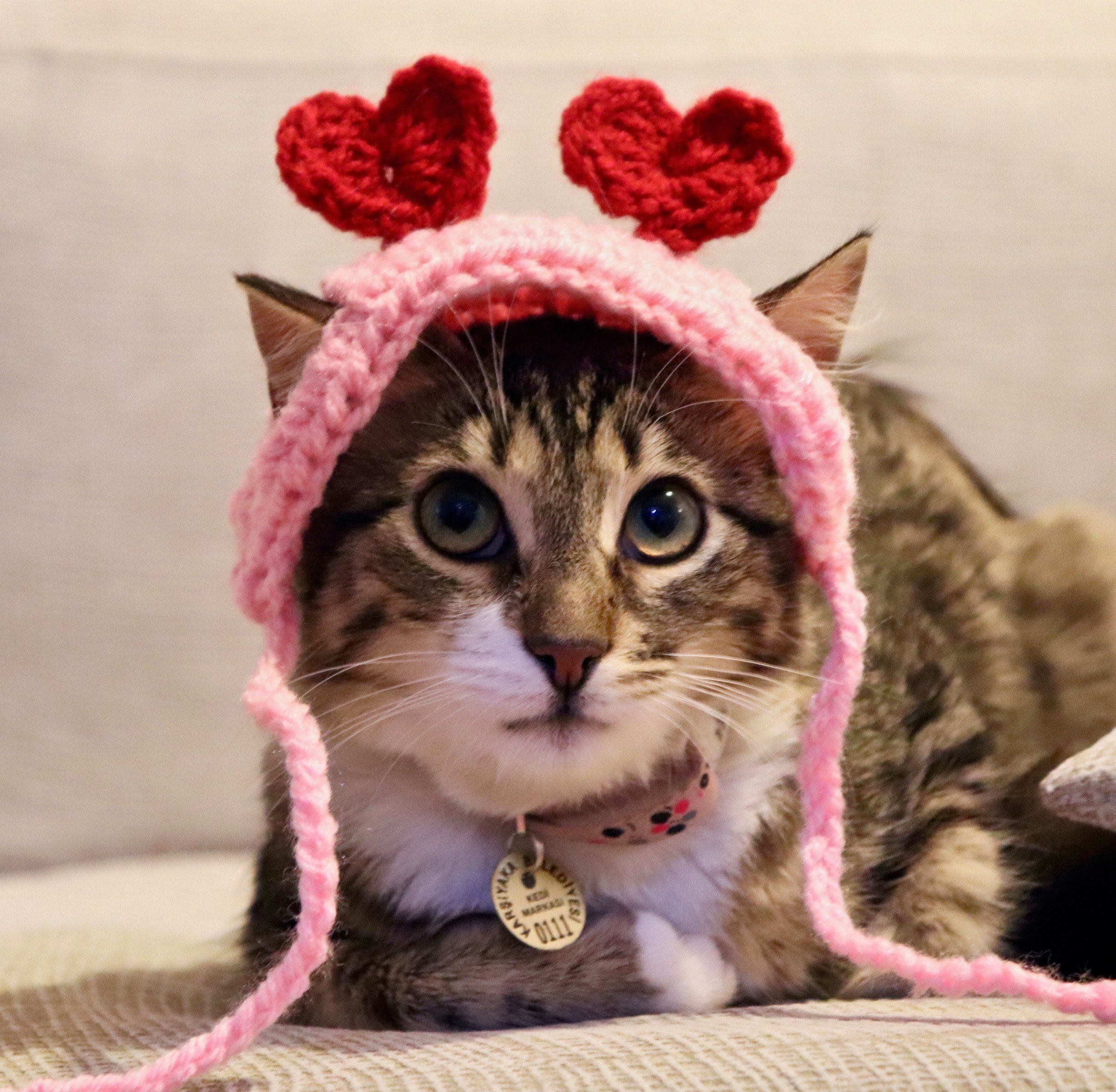 Crochet Pattern: Valentines Day Heart Headband for Cats With - Etsy Canada
